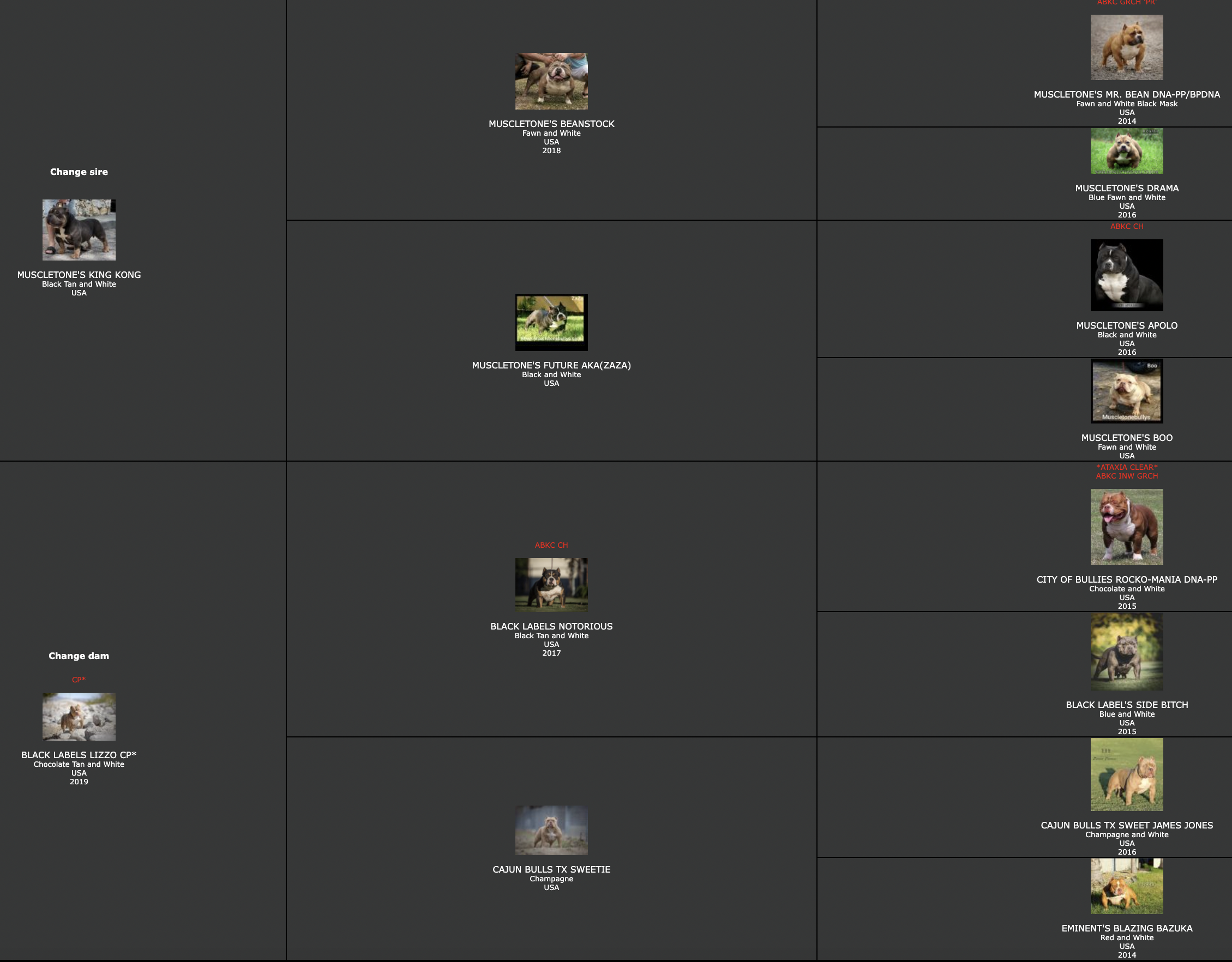 Current Available & Upcoming Litters – Gamer Bullyz